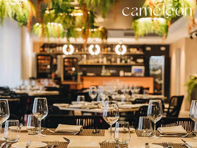 25% OFF All Inclusive Sunday Buffet at Cameleon Rodizio & Grill in St ...